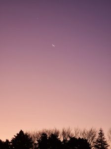 Matariki Photo Competition - Carmel College