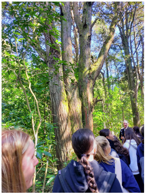 Year 12 Biology Field Trip to Smith's Bush - Carmel College